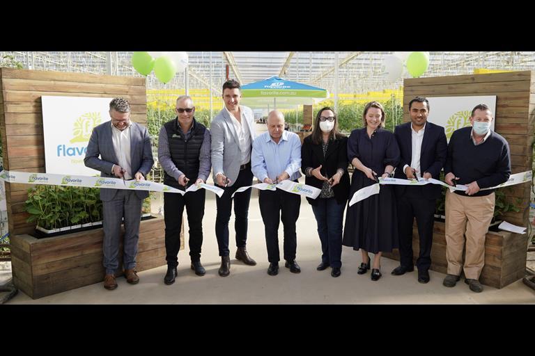 Flavorite opens new glasshouse | Article | Fruitnet
